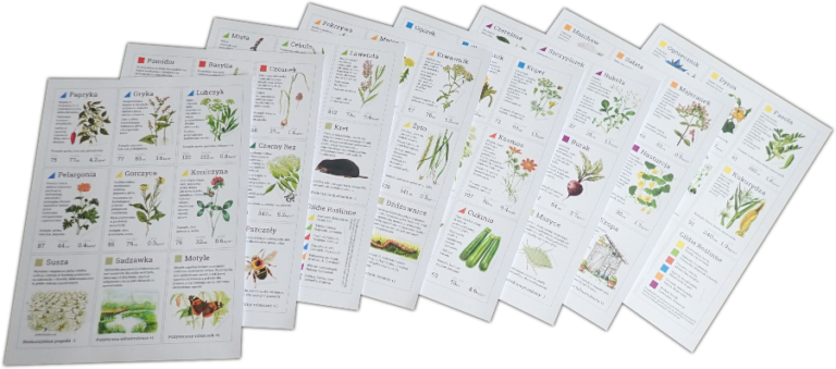 72 Garden Match Game Cards 8 * A4 pdfs - Garden Match Game Cards